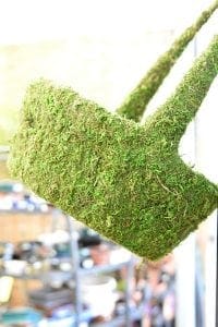 Planting + Planters - Green Thumb Nursery