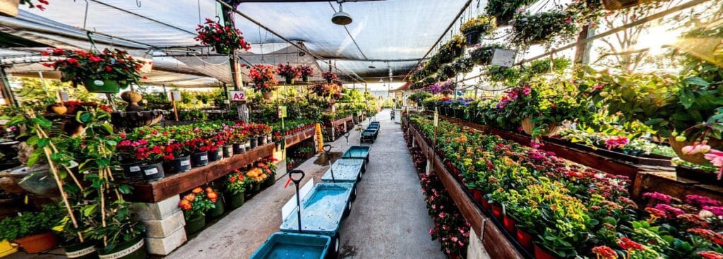 Green Thumb Nursery Newsletter Signup – Green Thumb Nursery