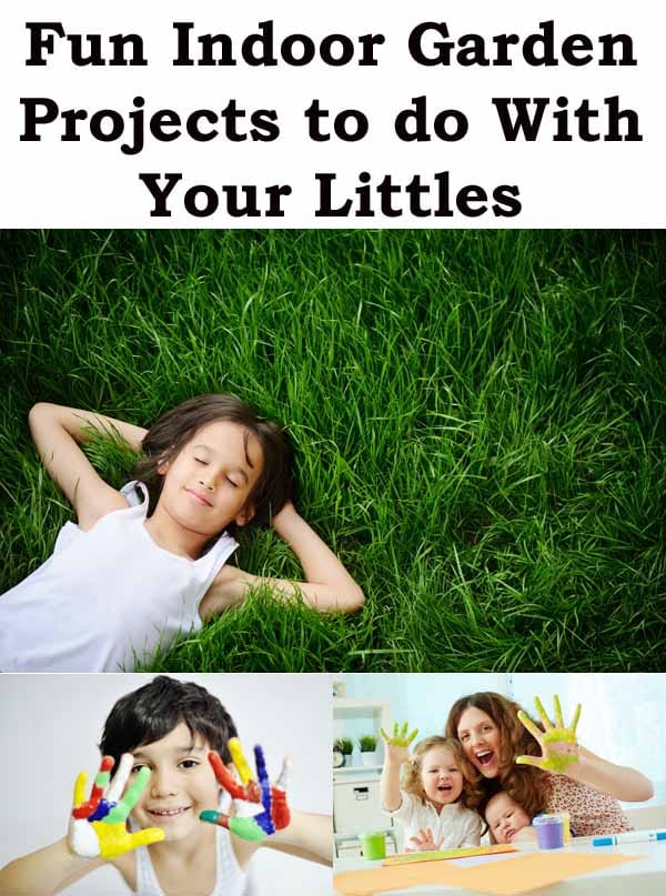 Fun Indoor Garden Projects to do With Your Littles – Green Thumb Nursery