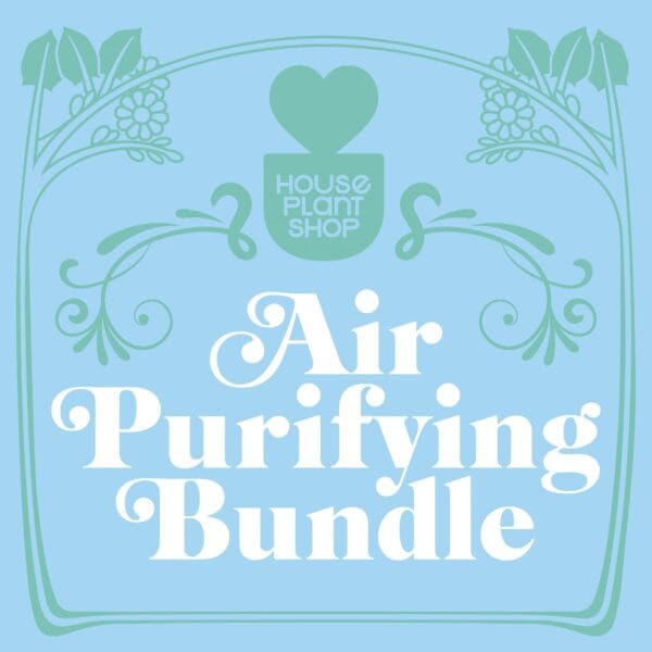 Plant X Bundle - Green Thumb Nursery Plant X Bundle - Green Thumb Nursery
