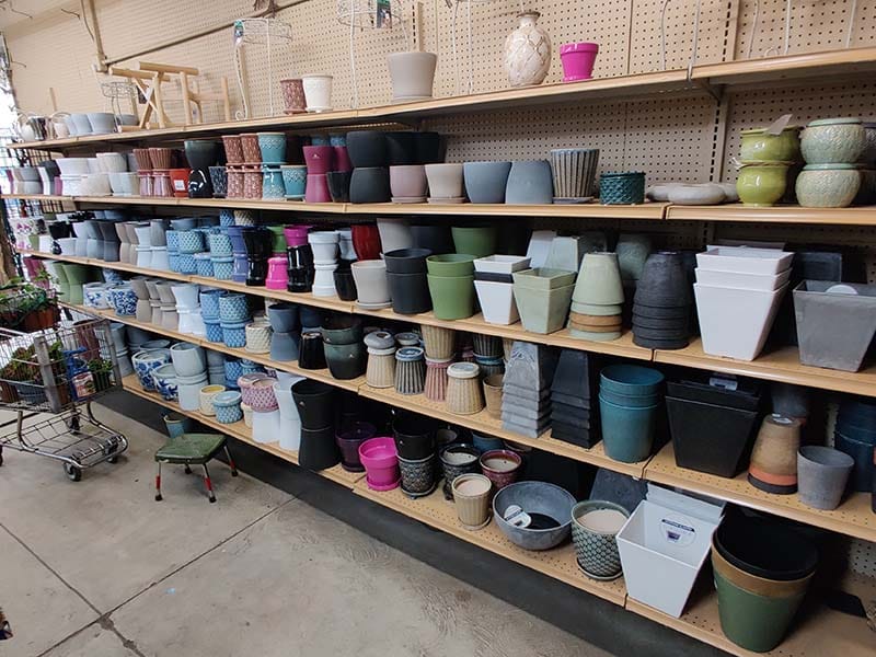 Green Thumb Nursery Lake Forest Orange County’s Best - Green Thumb Nursery